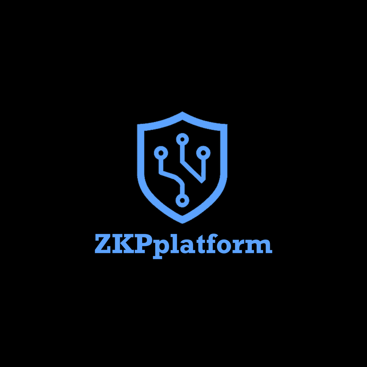 ZKPplatform: Build Scalable Zero-Knowledge Blockchain Solutions